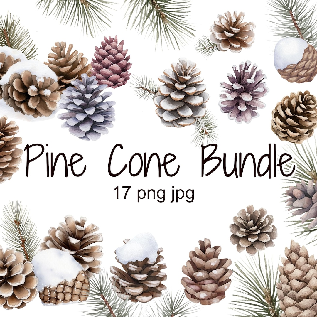 Watercolor Pine Cone Clip Art Pack | Pine Cone Graphics | Winter PNG ...