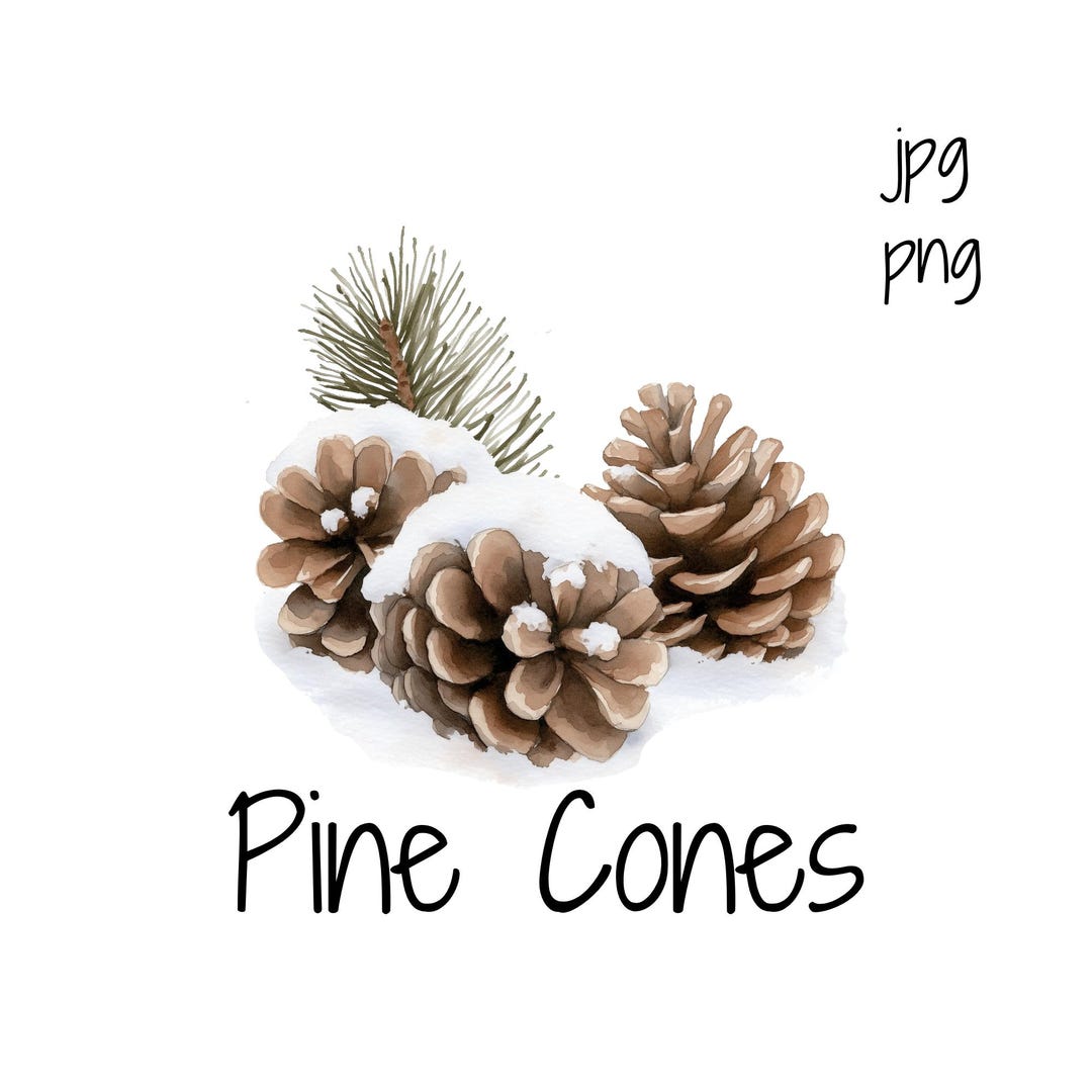 Watercolor Pine Cone Clipart | Winter Digital Graphic | Christmas PNG ...