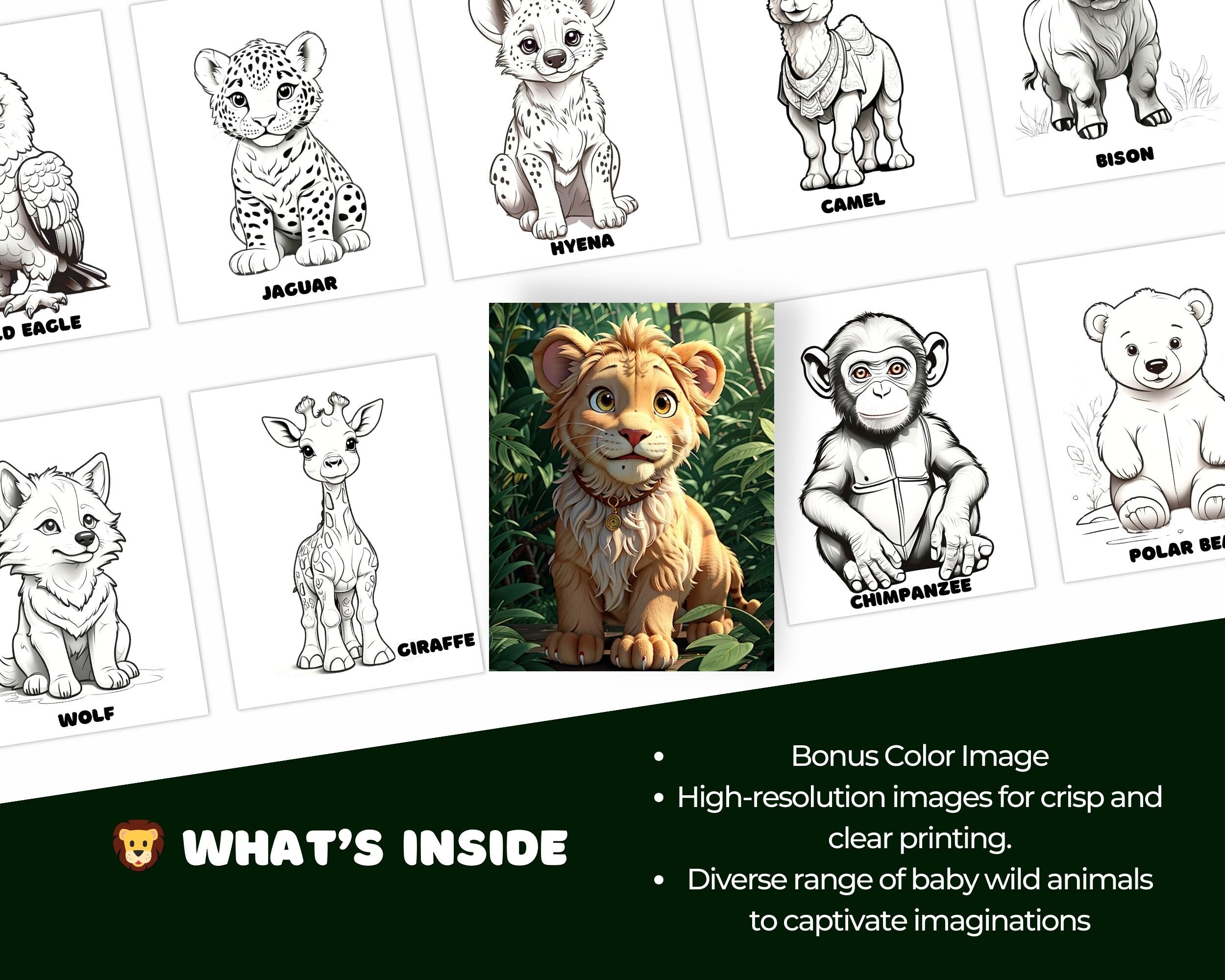33 Baby Wild Animals Coloring Pages Instant Printable for - Etsy