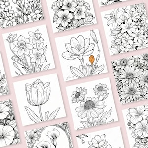 The Ultimate Bundle 100 Bloom & Botanicals Coloring Book Realistic ...