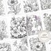 The Ultimate Bundle 100 Bloom & Botanicals Coloring Book Realistic ...
