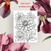 The Ultimate Bundle 100 Bloom & Botanicals Coloring Book Realistic ...