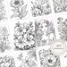 The Ultimate Bundle 100 Bloom & Botanicals Coloring Book Realistic ...