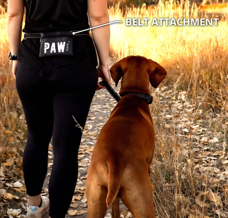 Dog First Aid Travel Kit: Paw Protection for Hiking & Camping - Etsy