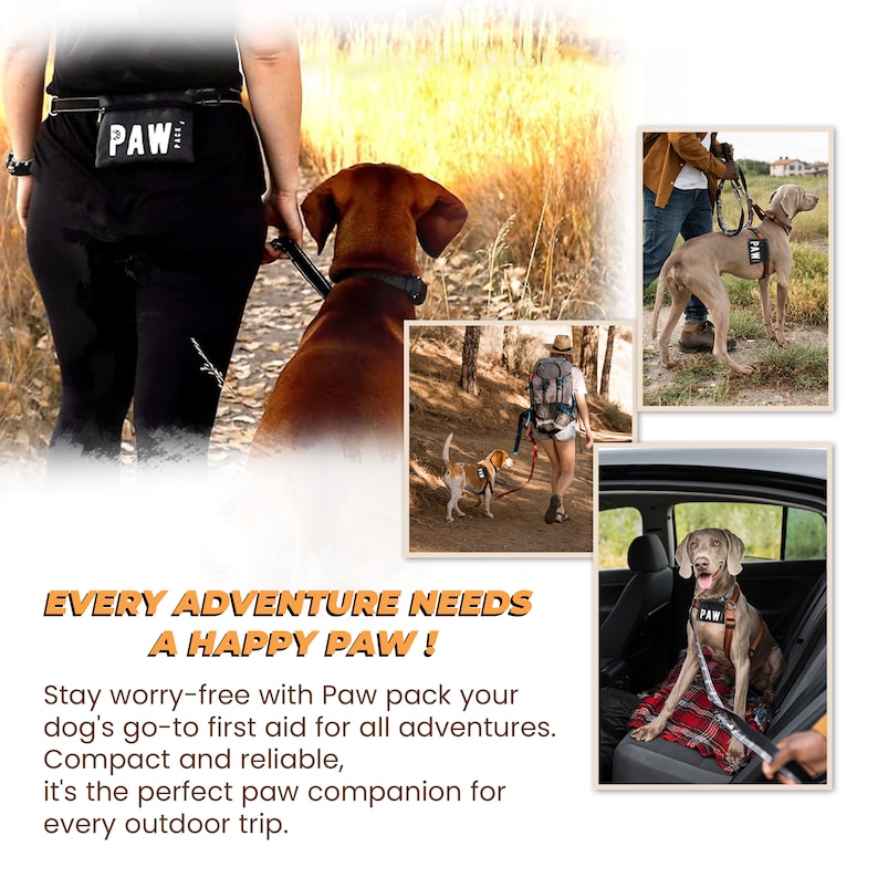 Dog First Aid Travel Kit: Paw Protection for Hiking & Camping - Etsy