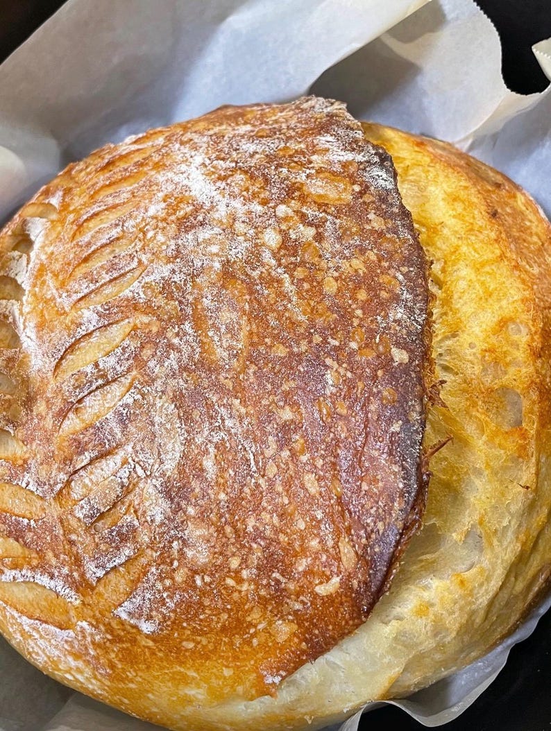 106 Year Old Dry Sourdough Starter From Southern France-- VERY ACTIVE ...