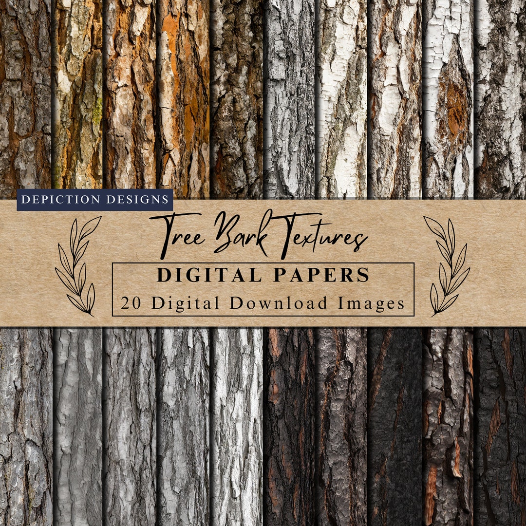 Tree Bark Textures Digital Papers Wood Grain Texture White Wood Texture ...