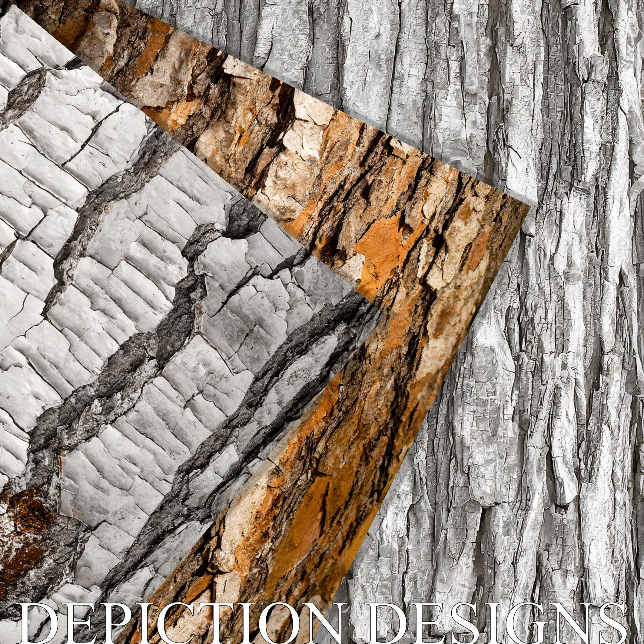 Tree Bark Textures Digital Papers Wood Grain Texture White Wood Texture ...