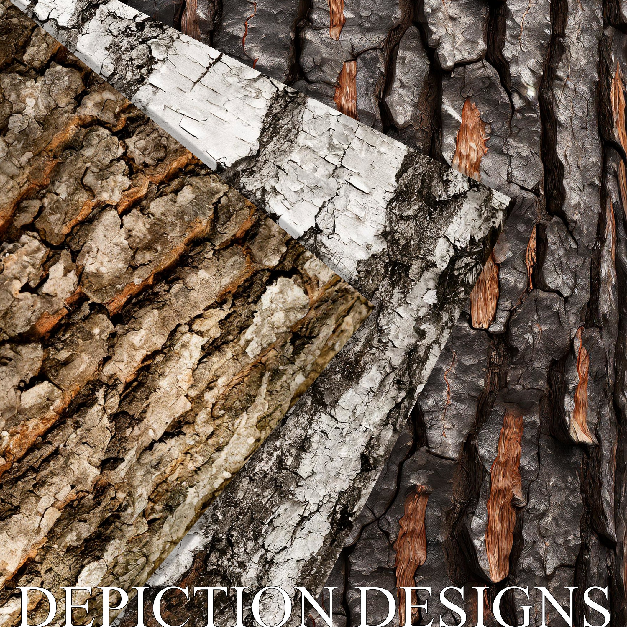 Tree Bark Textures Digital Papers Wood Grain Texture White Wood Texture ...