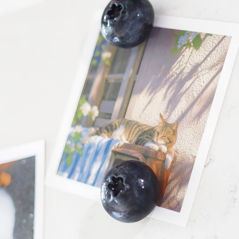 Fridge Magnets Clay Fruit - Etsy