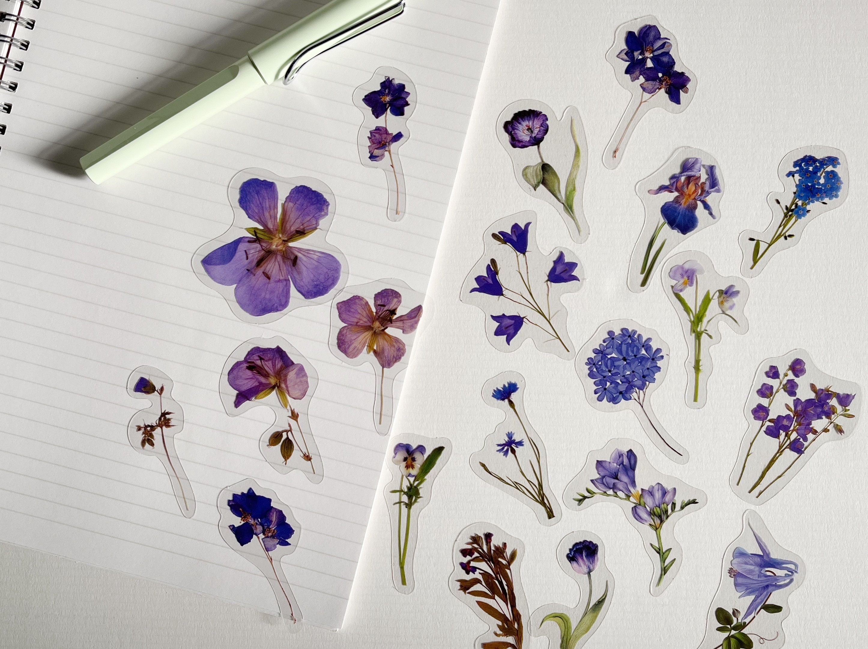 20-pack Aesthetic Pressed Flowers & Plants Stickers for Journals and ...