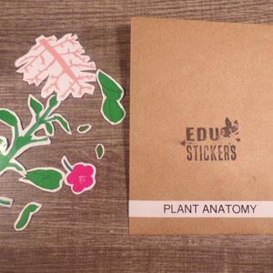 Plant Anatomy Sticker Pack | Botany | EDU Stickers - Etsy