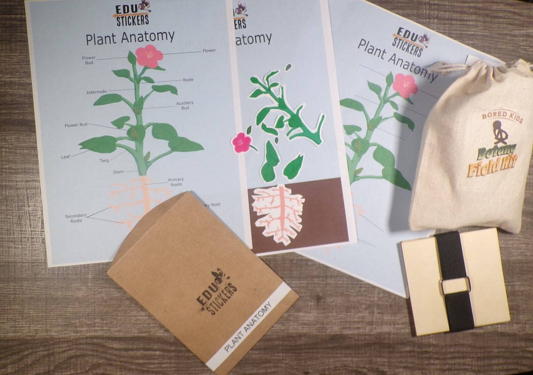Plant Anatomy Stickers & Botany Lab Field Kit | Botany | Edu - Etsy
