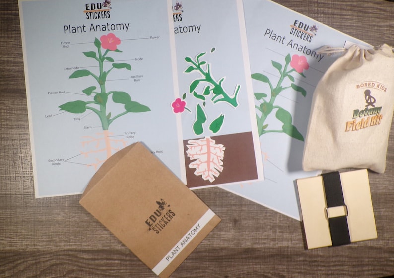 Plant Anatomy Stickers & Botany Lab Field Kit | Botany | Edu - Etsy
