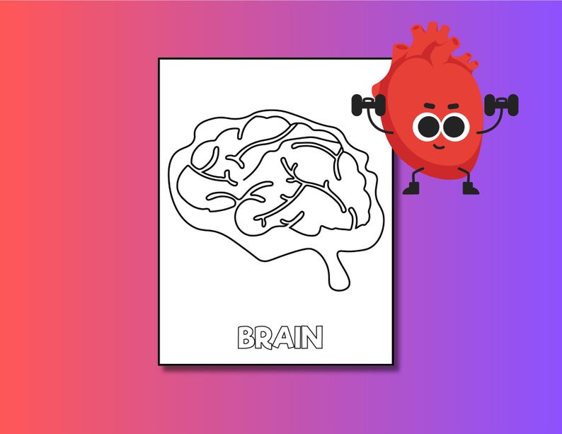 Human Anatomy, Kids' Coloring & Activity Book 8 Pages PDF, JPG Formats ...