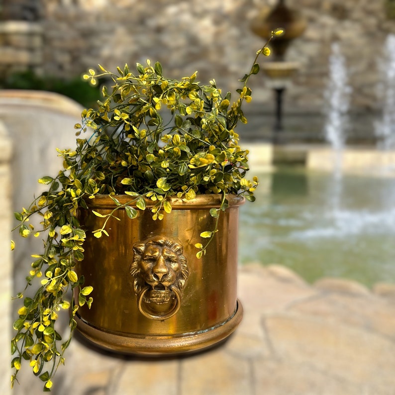 Brass Lion Head French Jardinaire Wall Planter Cachepot Wall Pocket - Etsy