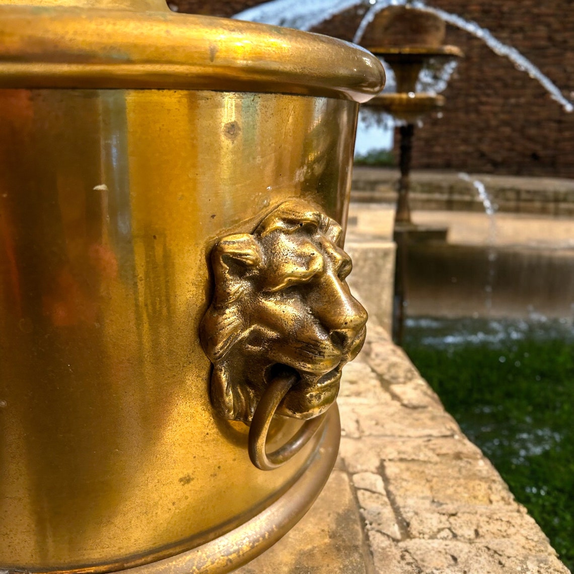 Brass Lion Head French Jardinaire Wall Planter Cachepot Wall Pocket - Etsy