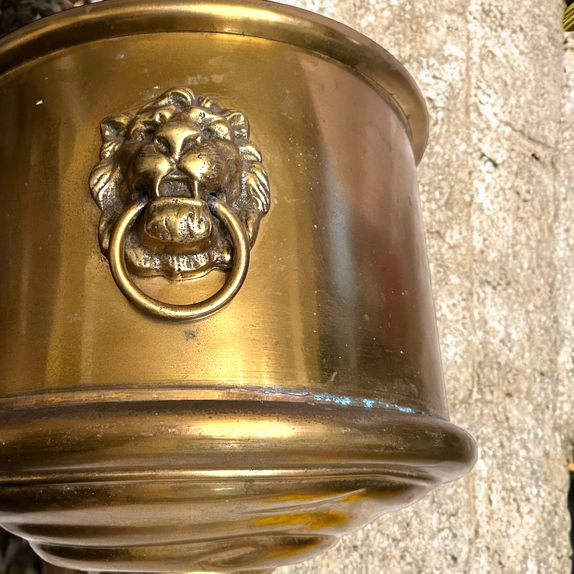 Brass Lion Head French Jardinaire Wall Planter Cachepot Wall Pocket - Etsy