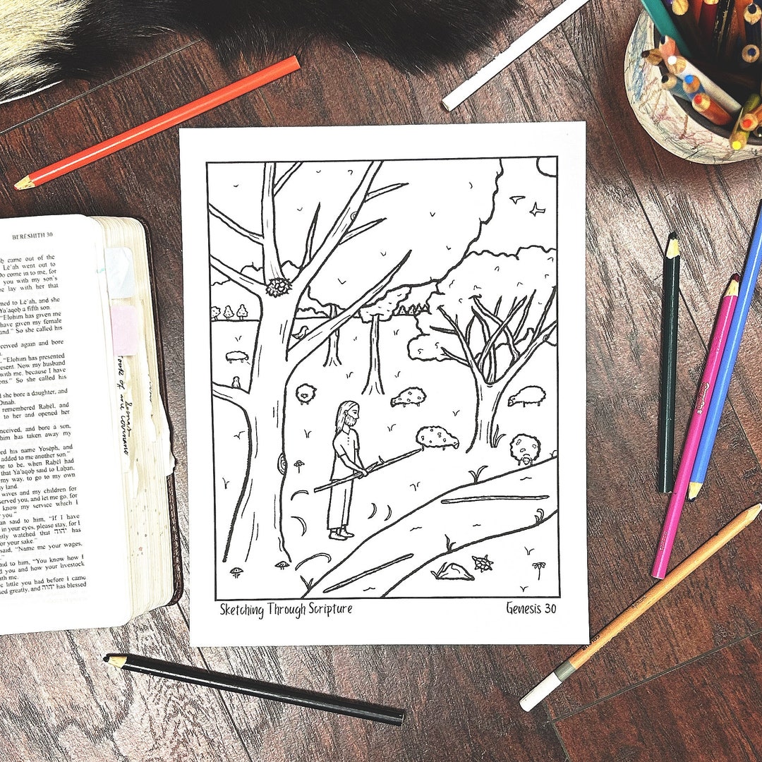 Genesis 30 Jacob Throws Rods Story Bible Coloring Page PDF for Bible ...