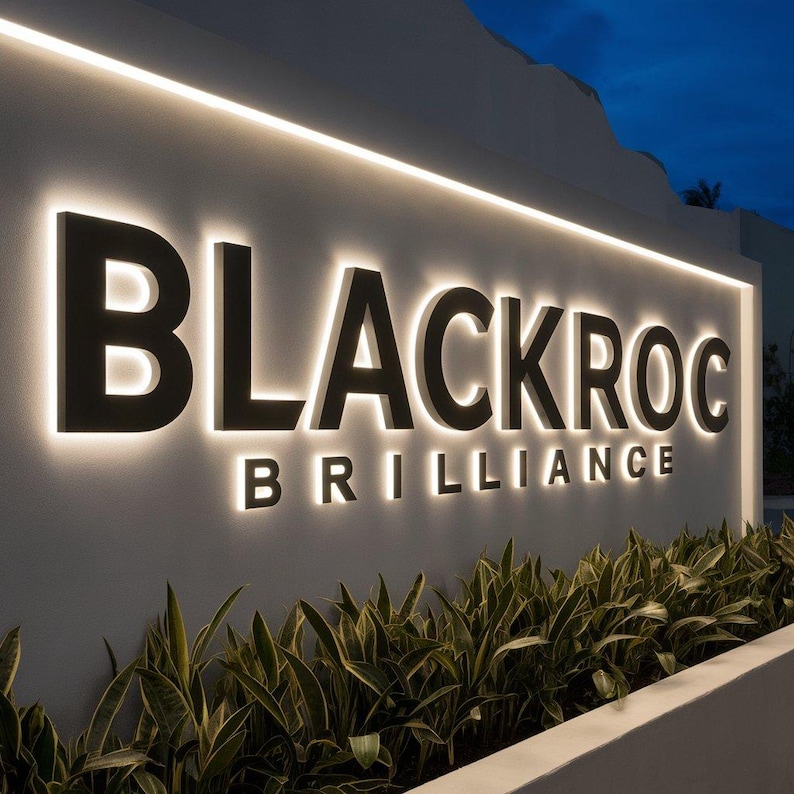 Custom Backlit Business Sign, LED Sign, Light up Salon Sign, Reception Wall Logo Sign, Laser Cut ...