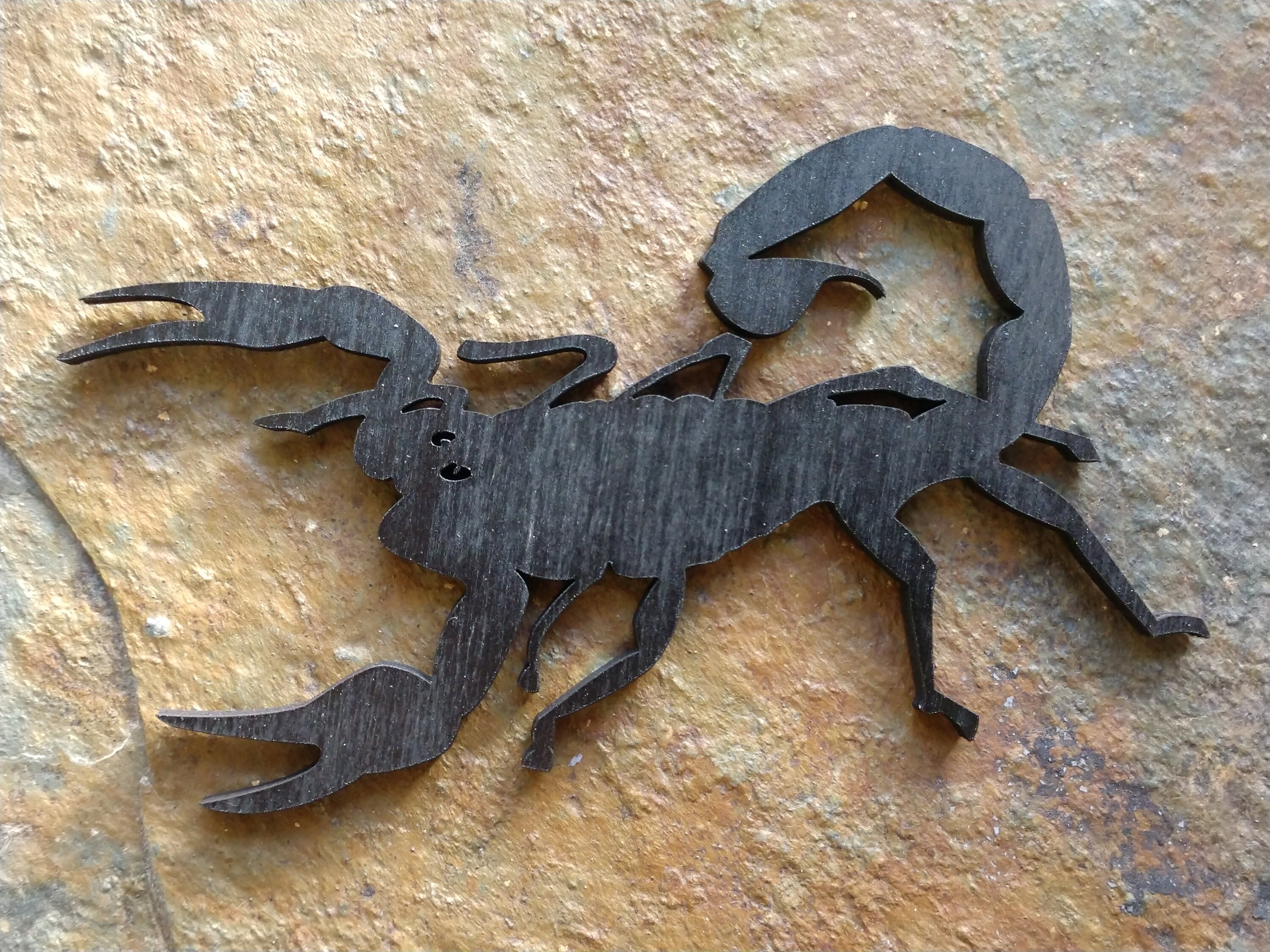 Scorpion Image, Scorpion Wall Art, - Etsy