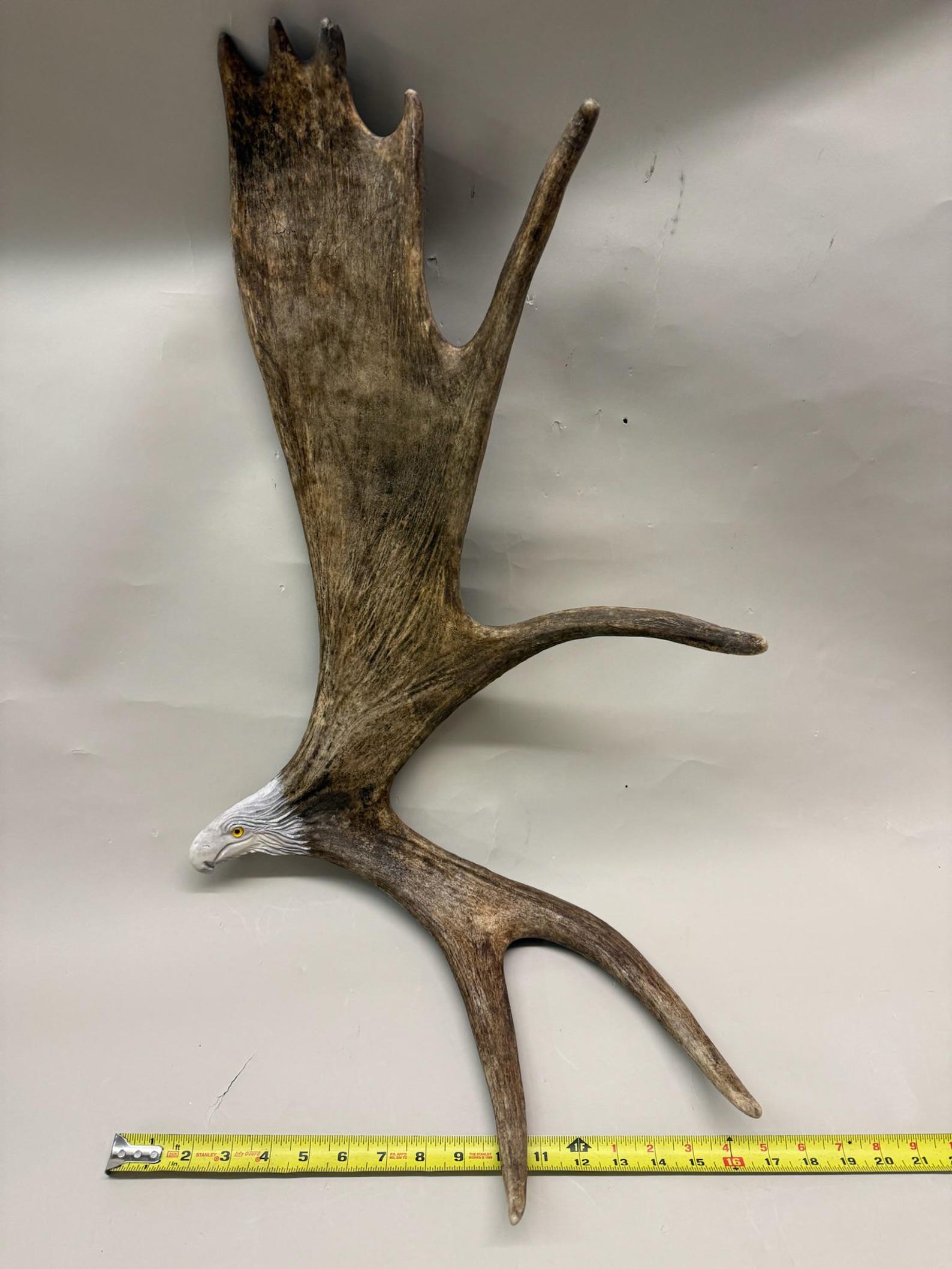 Moose Antler Carving (soaring Eagle Wall Mount) Hand Carved, Artist ...