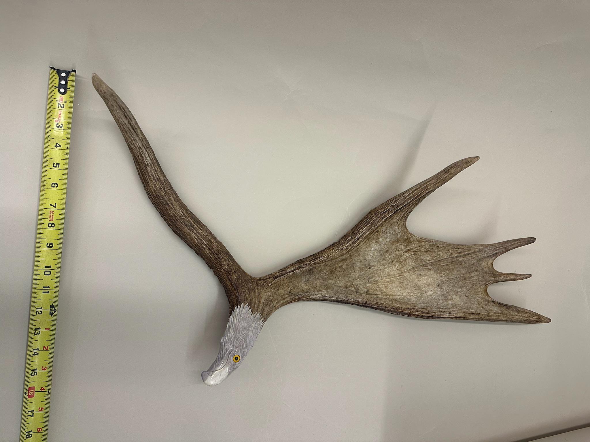 Moose Antler Carving (soaring Eagle Wall Mount) Artist Direct and Ready ...