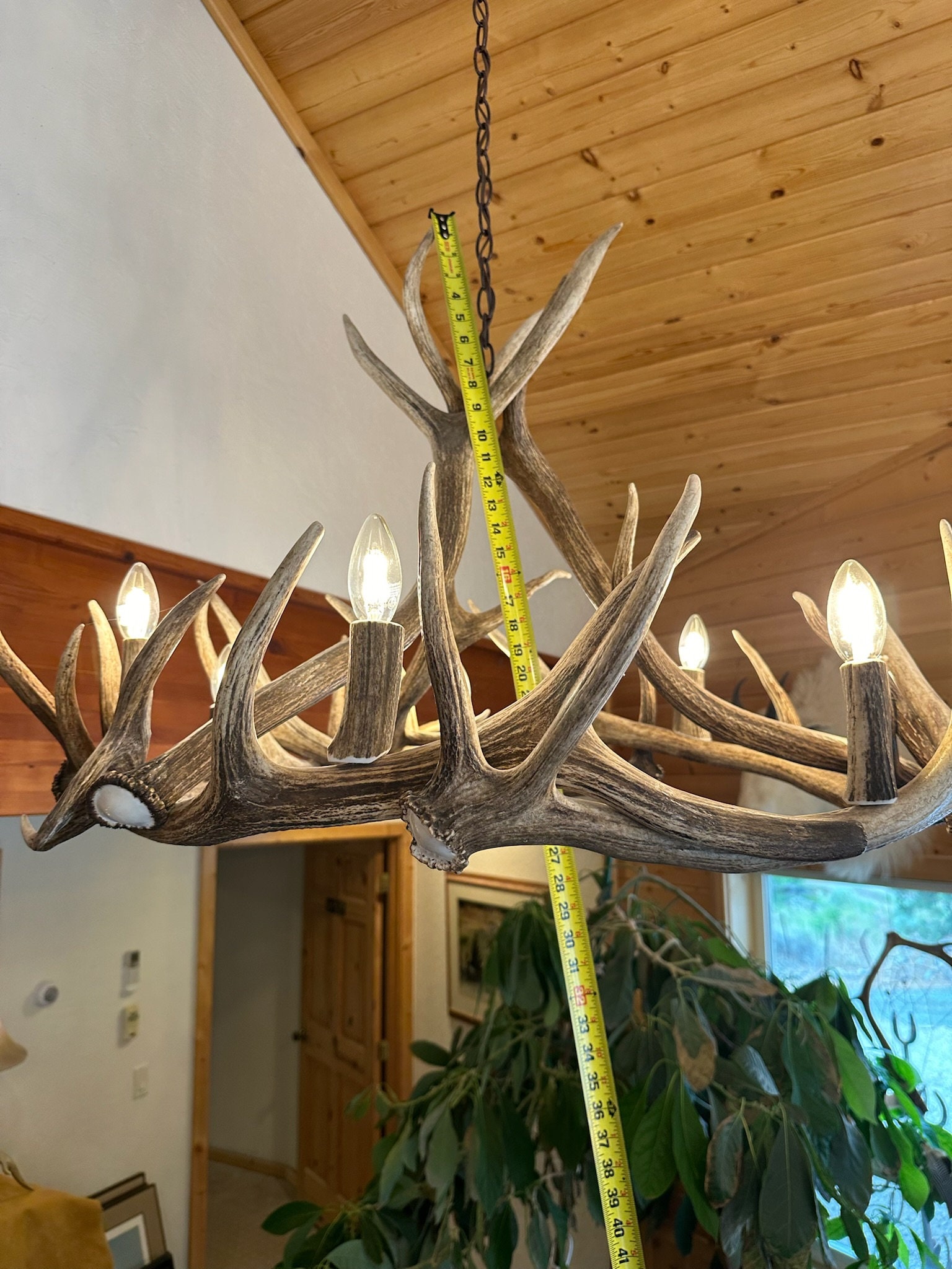 7 Light Real Elk Antler Chandeliers 36x27" Elegant Lodge, Cabin ...