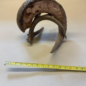 Dall Sheep Horn Carving: Rustic Wildlife Art, Cabin Decor (made in USA ...