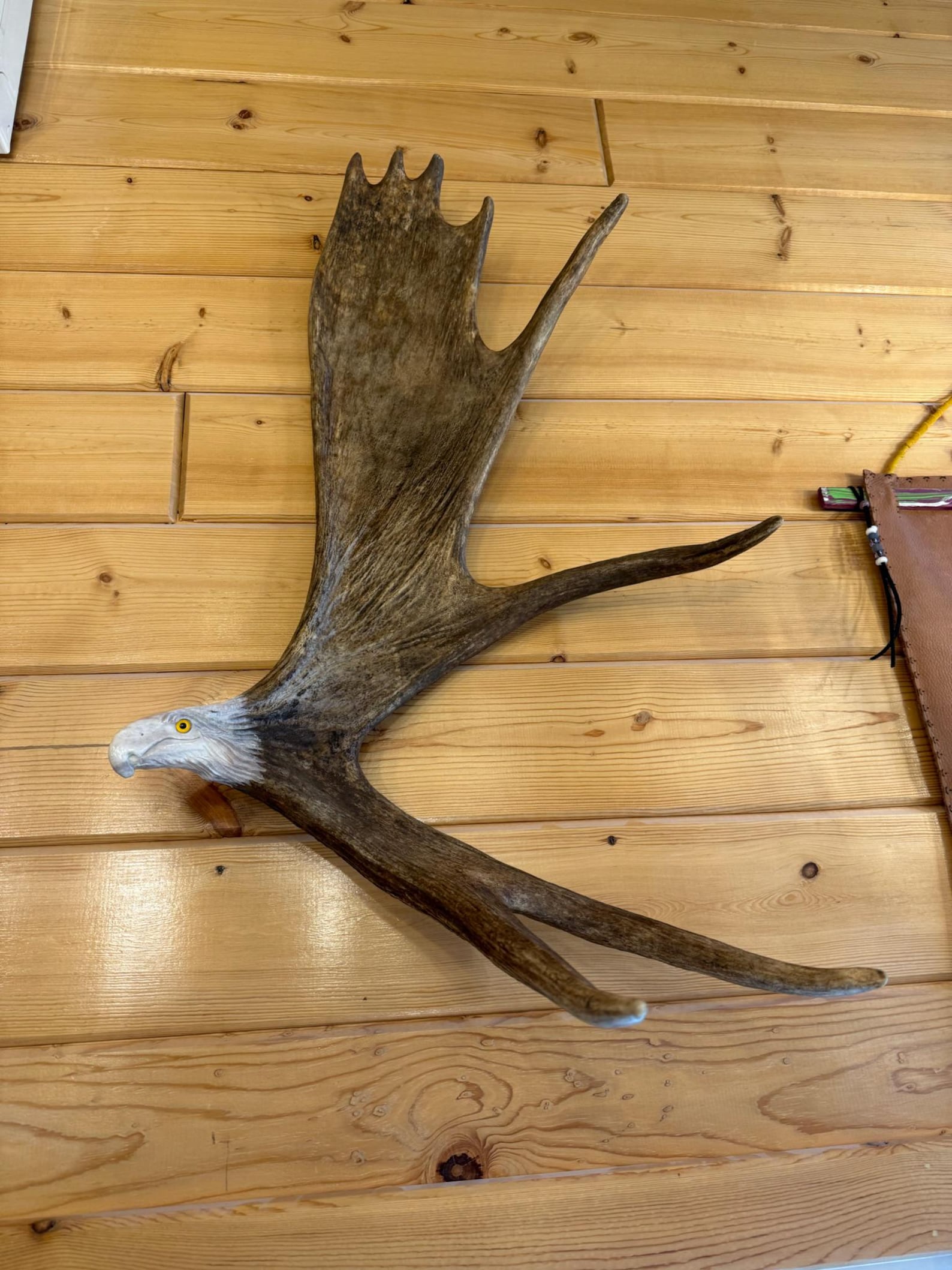 Moose Antler Carving (soaring Eagle Wall Mount) Hand Carved, Artist ...