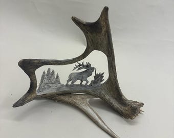 Moose Antler Carving 14x12 lying Ram Artist Direct and Ready to Ship ...