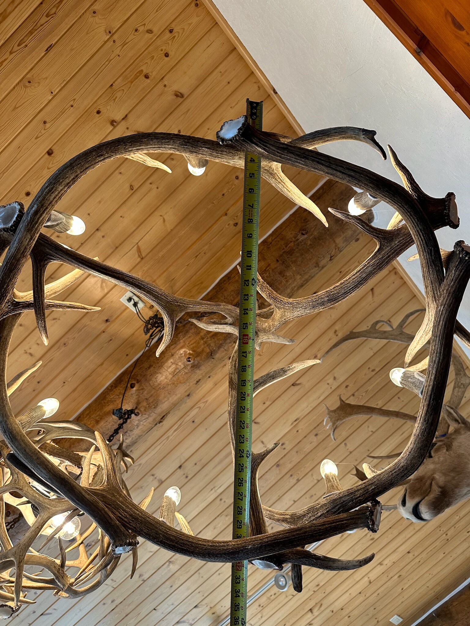 7 Light Real Elk Antler Chandeliers 36x27" Elegant Lodge, Cabin ...