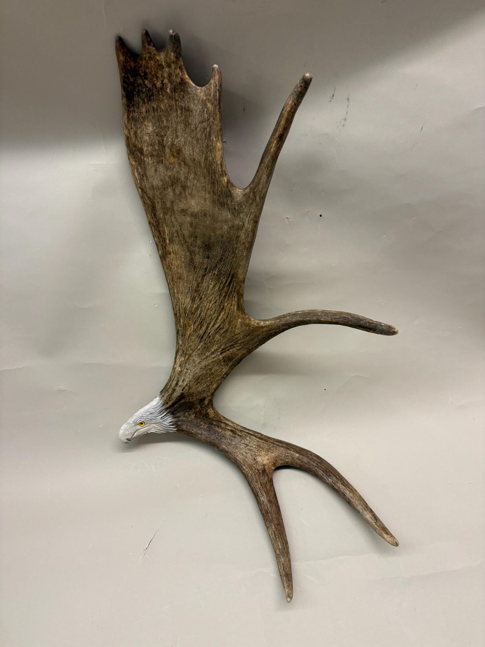 Moose Antler Carving (soaring Eagle Wall Mount) Hand Carved, Artist ...