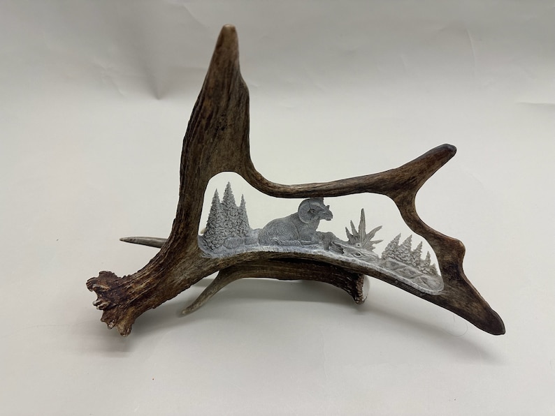 Moose Antler Carving 14x12 lying Ram Artist Direct and Ready to Ship ...