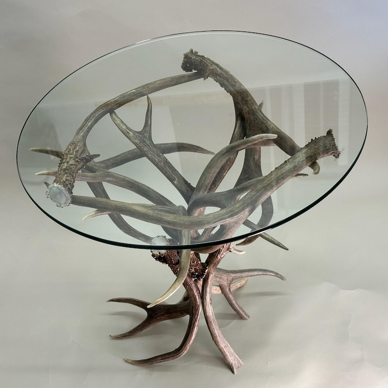 Antler Decor - Etsy
