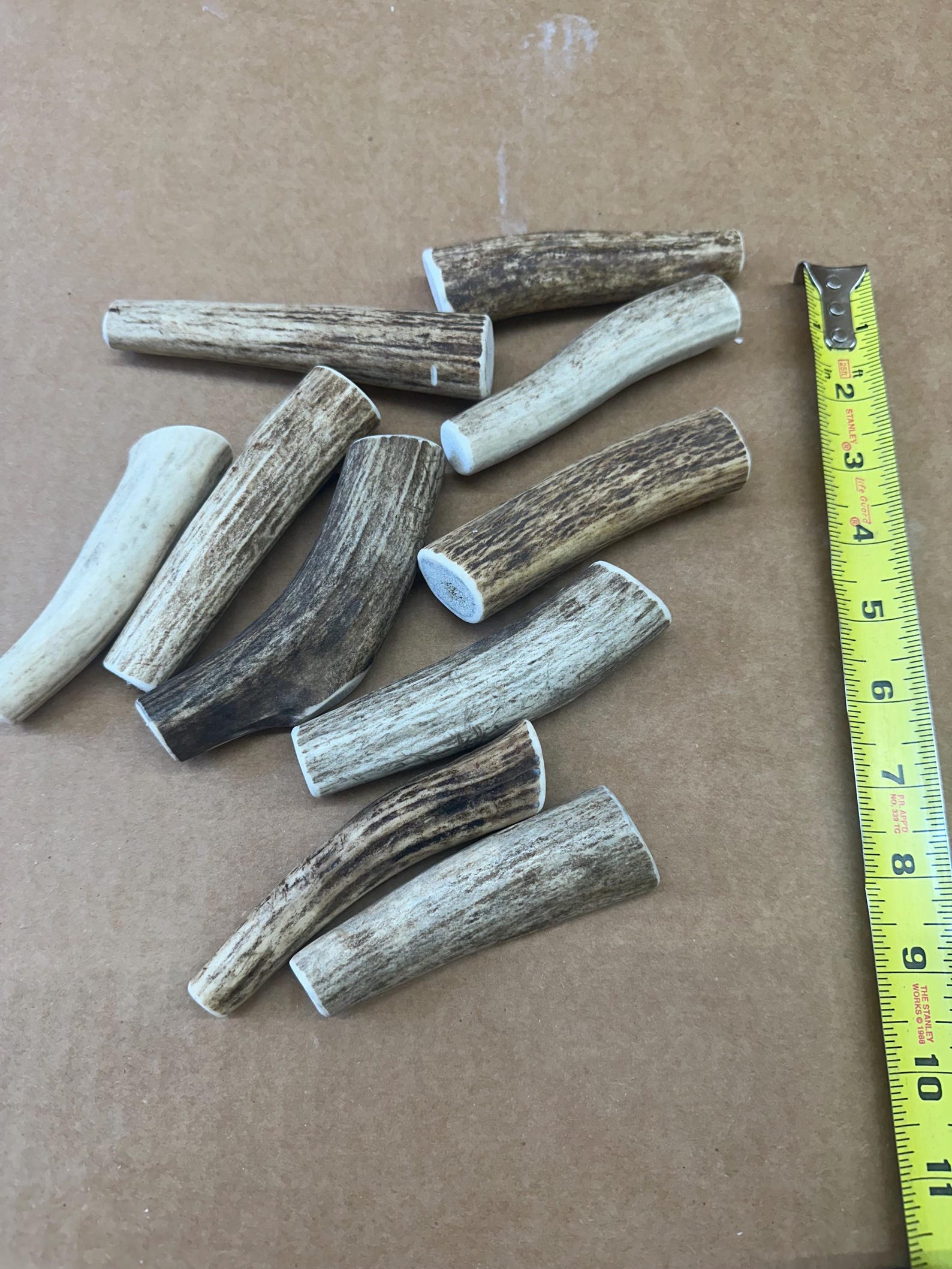 1lb SALE! Elk Antler Dog Chews (10chews) Small Whole Elk Antler 4 ...