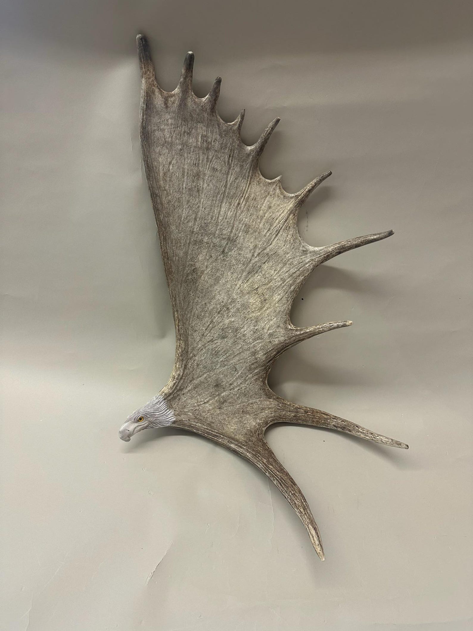 Moose Antler Carving (soaring Eagle Wall Mount) Hand Carved, Artist ...