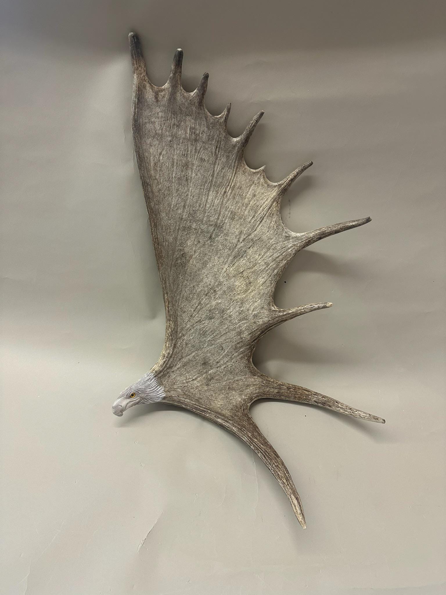Moose Antler Carving (soaring Eagle Wall Mount) Hand Carved, Artist ...