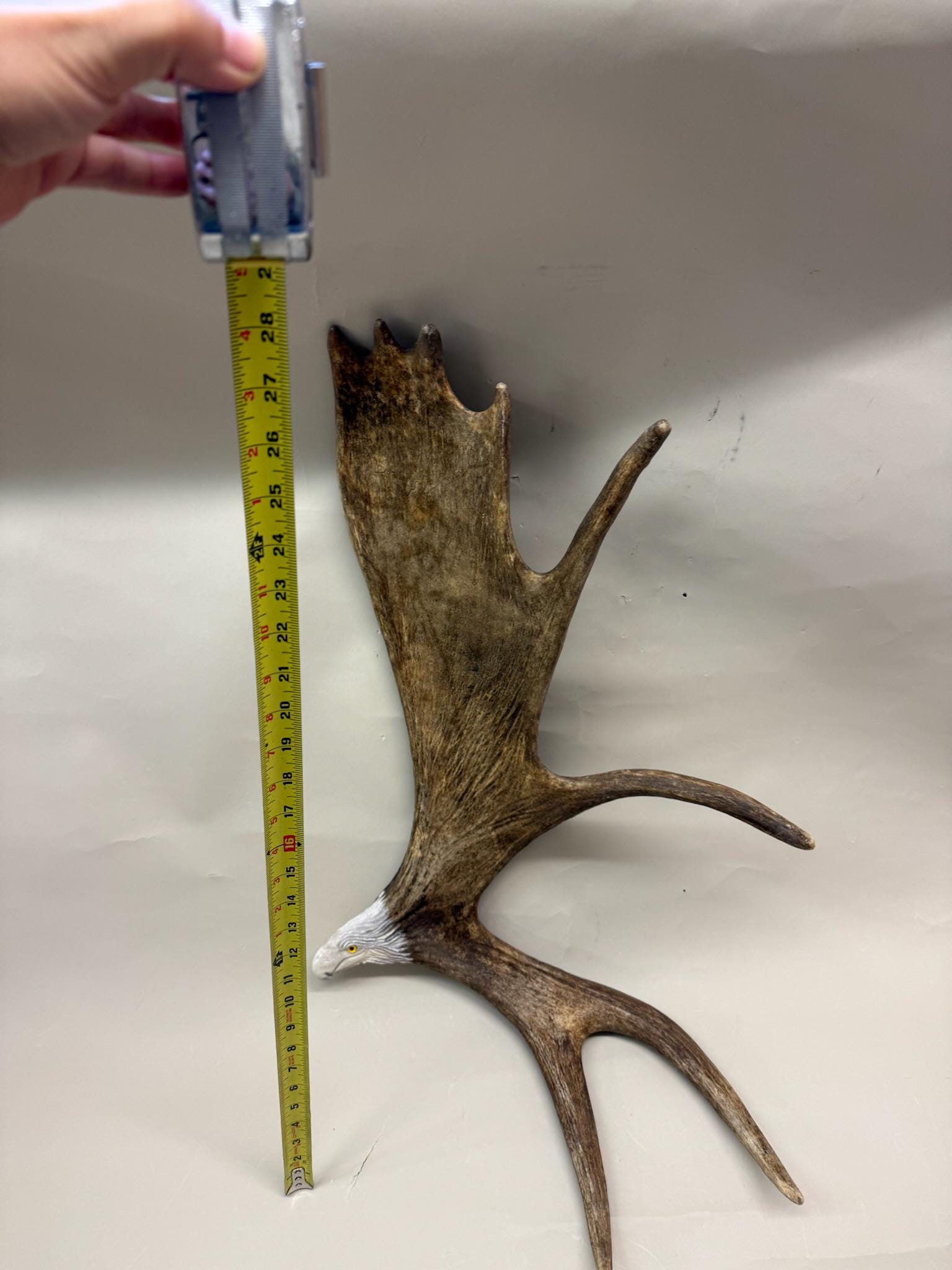 Moose Antler Carving (soaring Eagle Wall Mount) Hand Carved, Artist ...