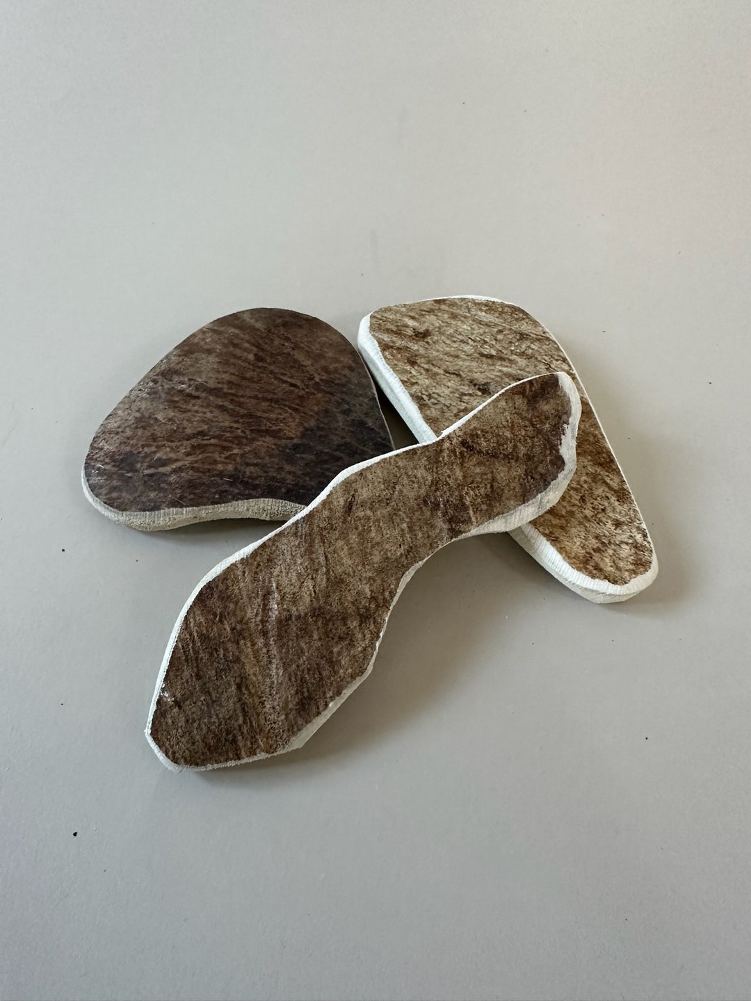 Medium Dog Chew 4–5" – Moose Antler Disc Chew | All-natural, Long ...