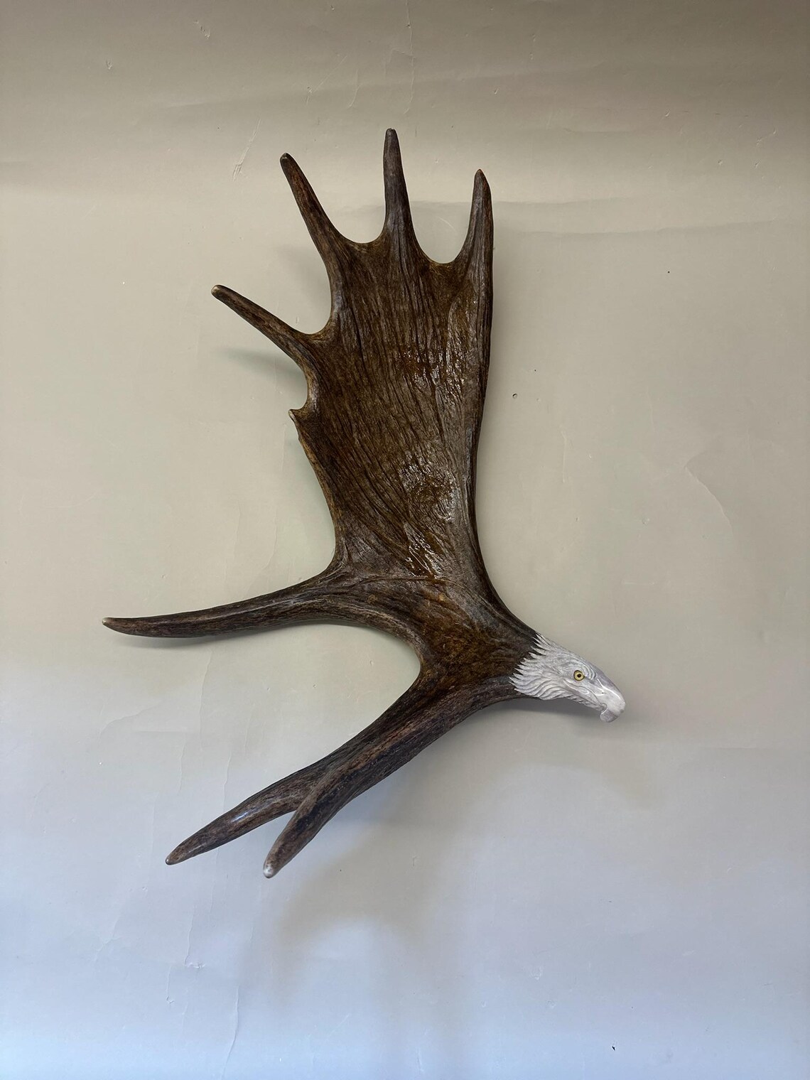 Moose Antler Carving (soaring Eagle Wall Mount) Artist Direct and Ready ...