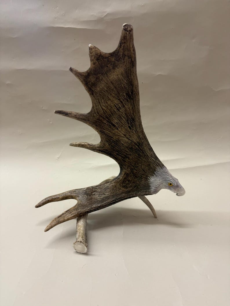 Real Extra Large 35" Moose Antler Hand Carved Eagle Head, Idaho Rustic ...
