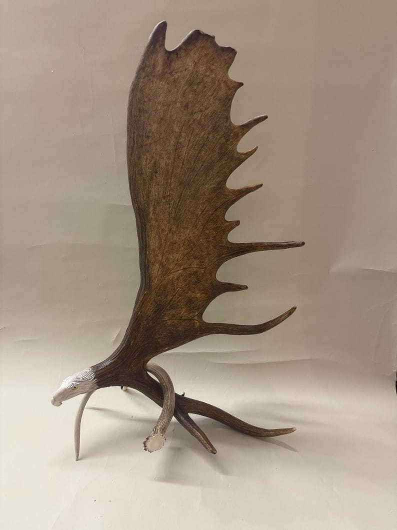 Real Extra Large 35" Moose Antler Hand Carved Eagle Head, Idaho Rustic ...