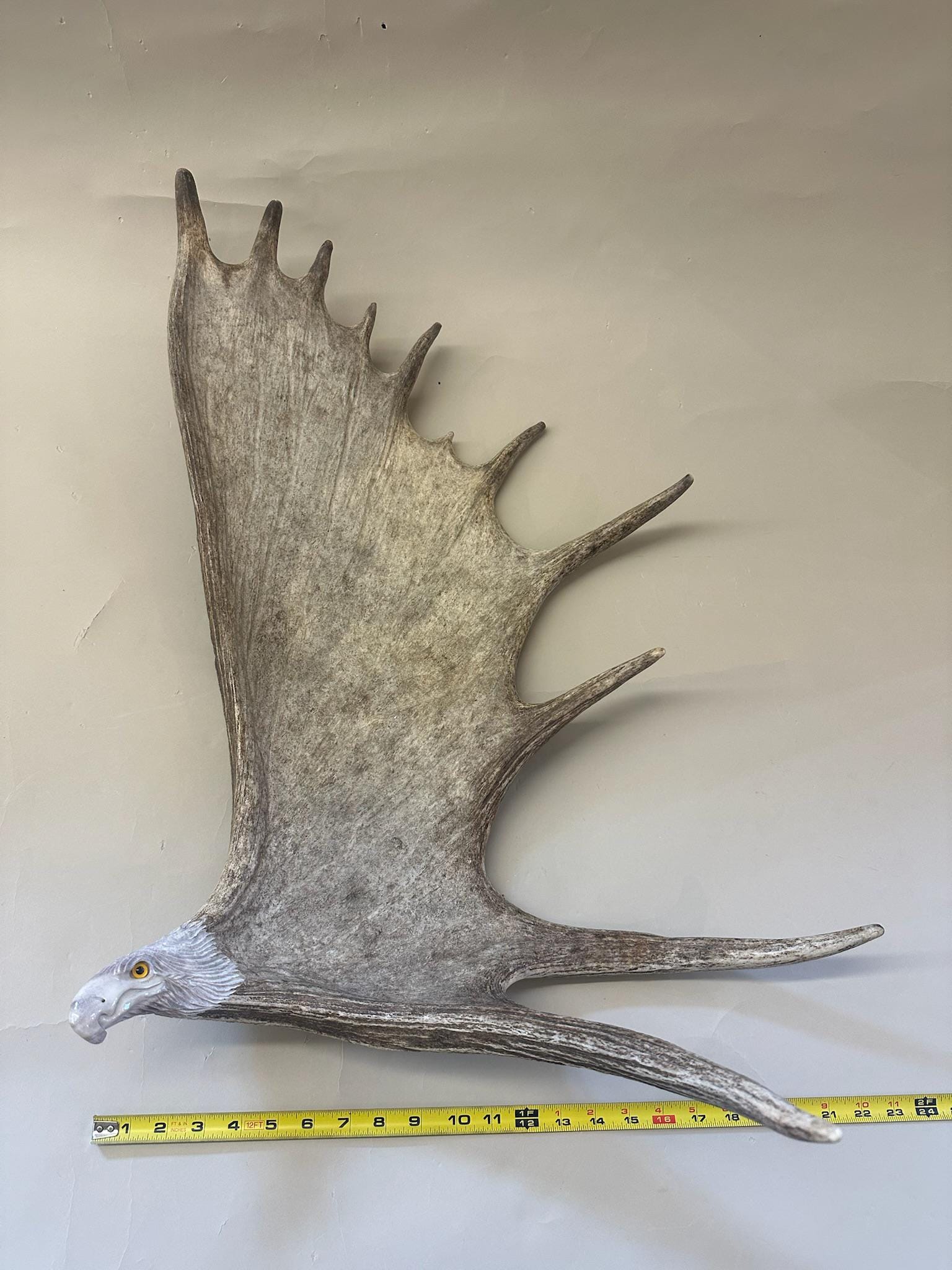 Moose Antler Carving (soaring Eagle Wall Mount) Hand Carved, Artist ...
