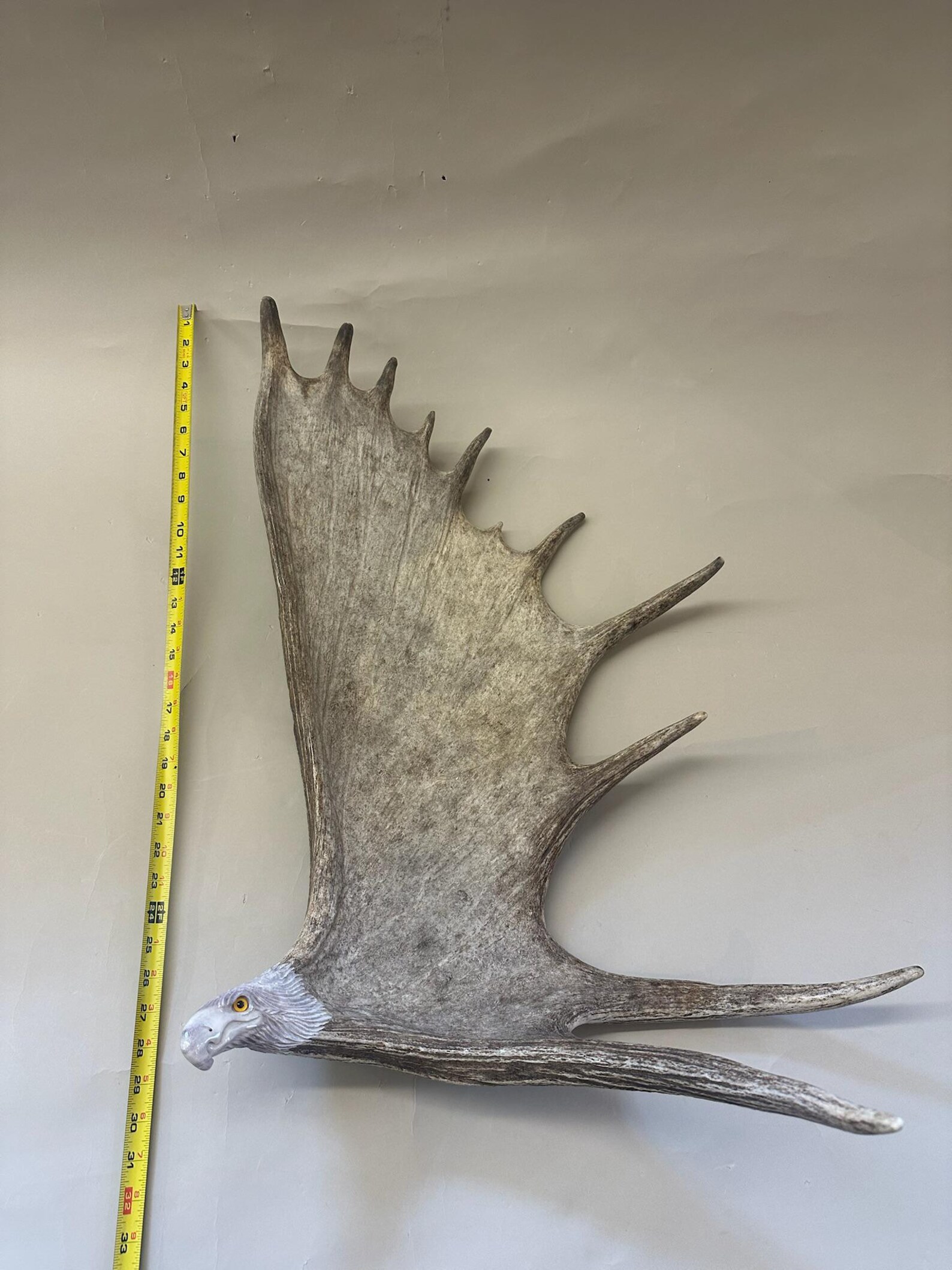 Moose Antler Carving (soaring Eagle Wall Mount) Hand Carved, Artist ...