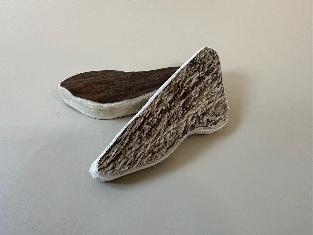 Large 5–6″ Moose Antler Disc Dog Chews – Natural Long-lasting Chew for ...
