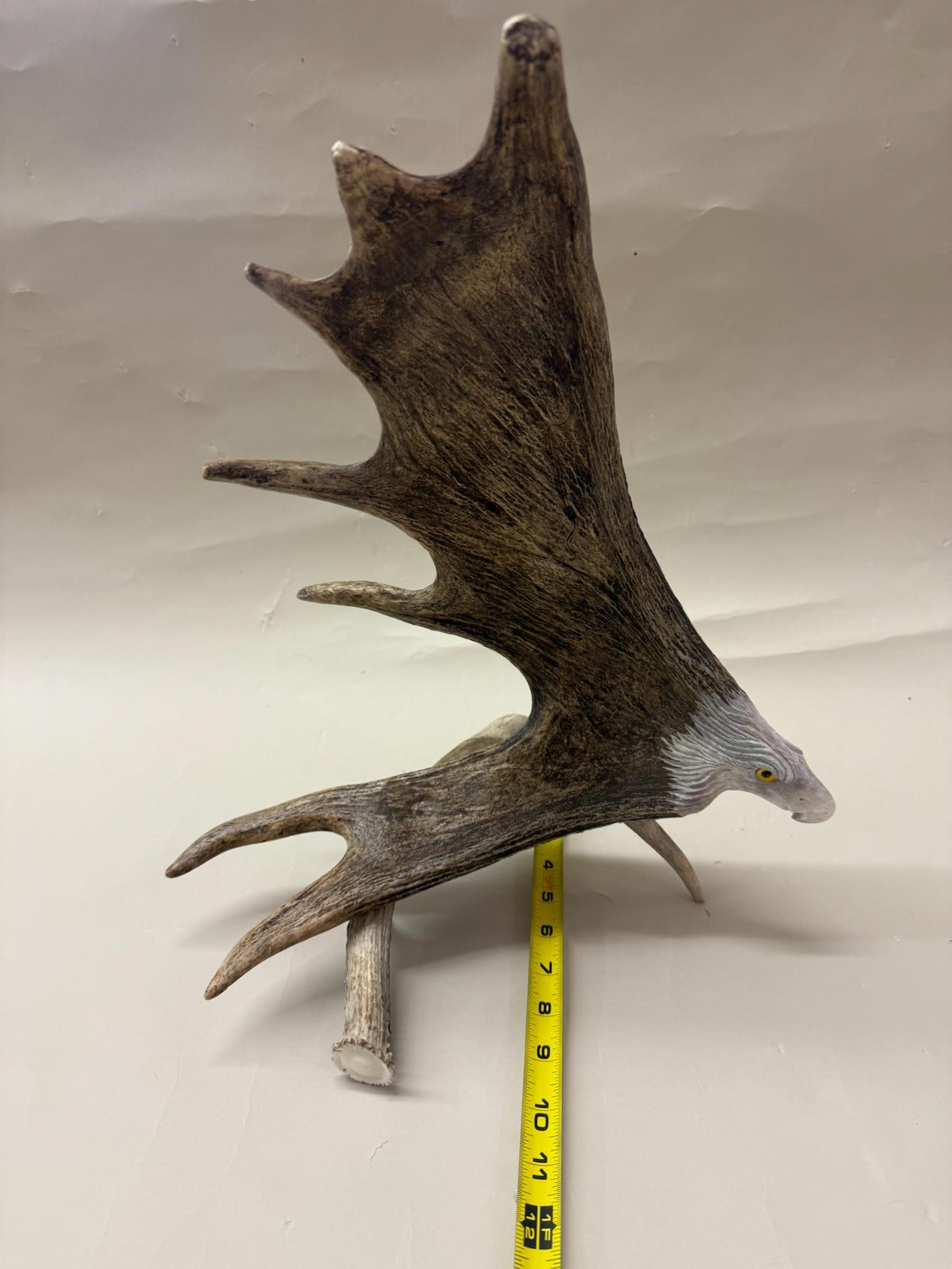 Real Extra Large 35" Moose Antler Hand Carved Eagle Head, Idaho Rustic ...