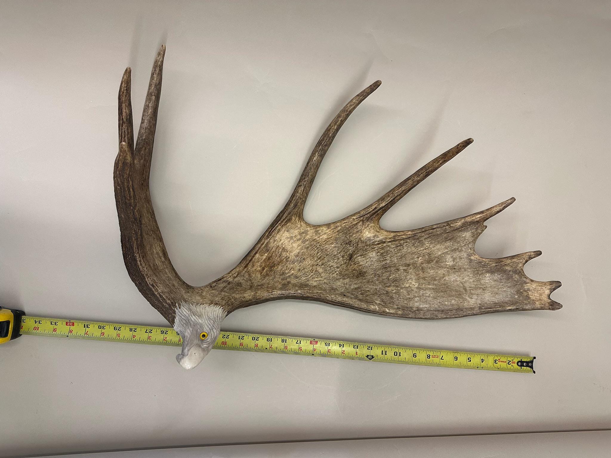 Moose Antler Carving (soaring Eagle Wall Mount) Artist Direct and Ready ...