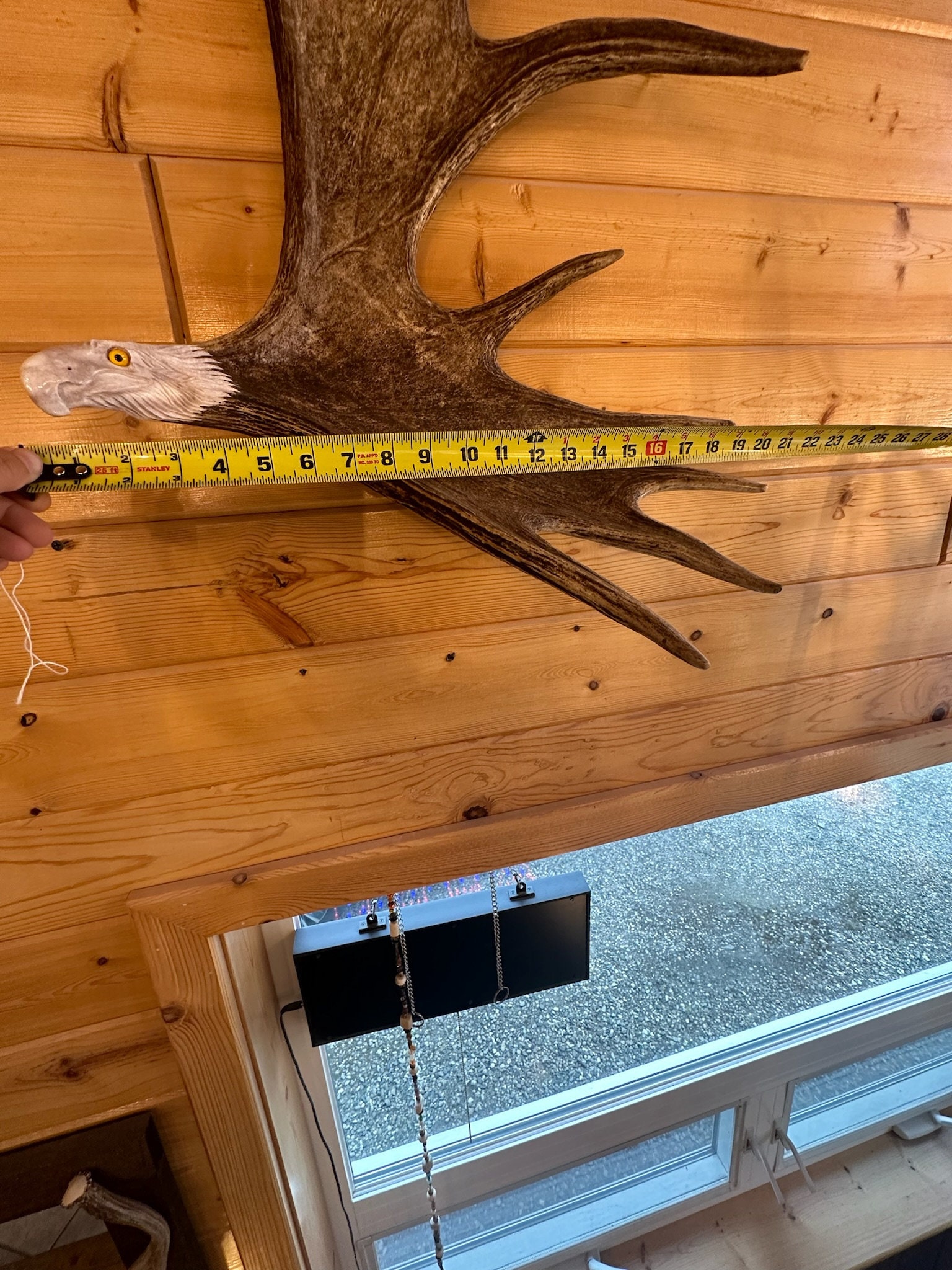 Moose Antler Carving soaring Eagle Wall Mount Artist Direct and Ready ...