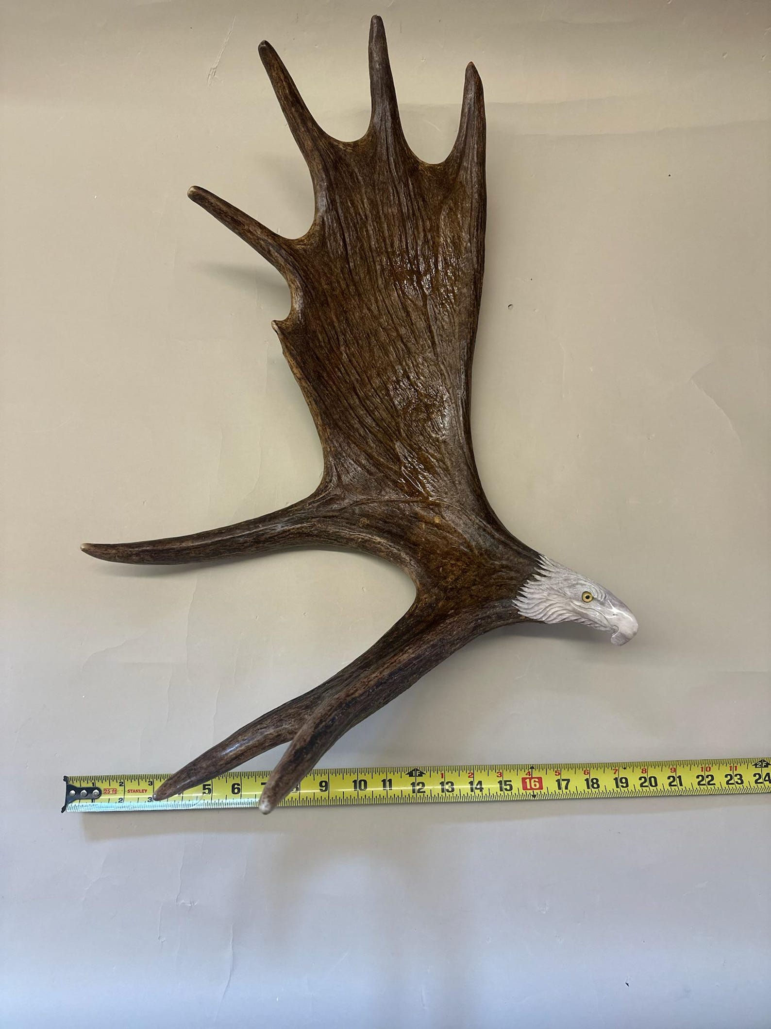 Moose Antler Carving (soaring Eagle Wall Mount) Artist Direct and Ready ...